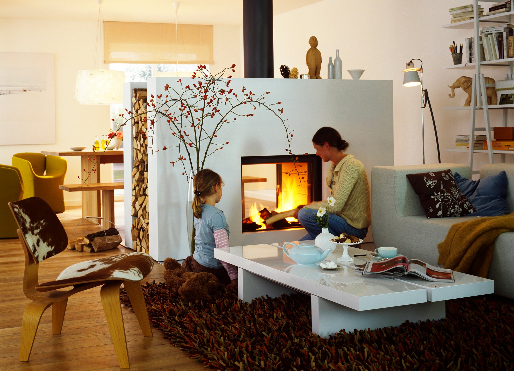 Stûv Double-Sided Wood Fire | The Fireplace – The Fireplace NZ